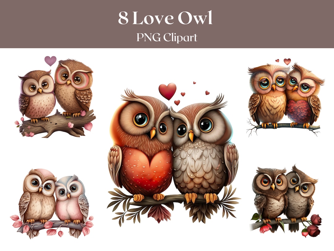 Süße Eulen Clipart - 8 hochwertige PNG-Dateien Liebende Eulen Niedliche ...