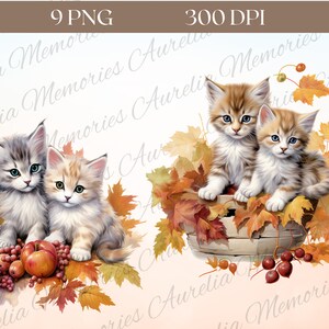 Watercolor Fall Cat Clipart 9 PNG Files Fall Cat Clipart Kitten With ...