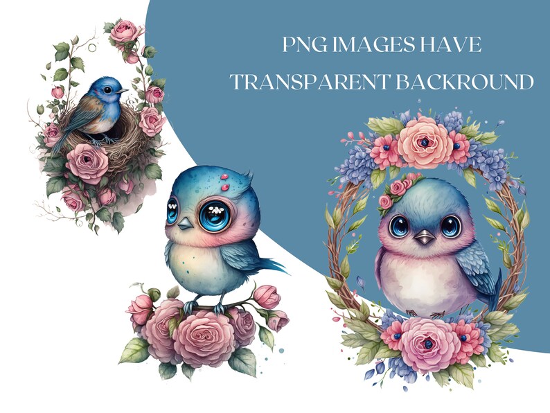 Watercolor Baby Bluebird Clipart 9 PNG Files Bluebird Clipart Spring ...