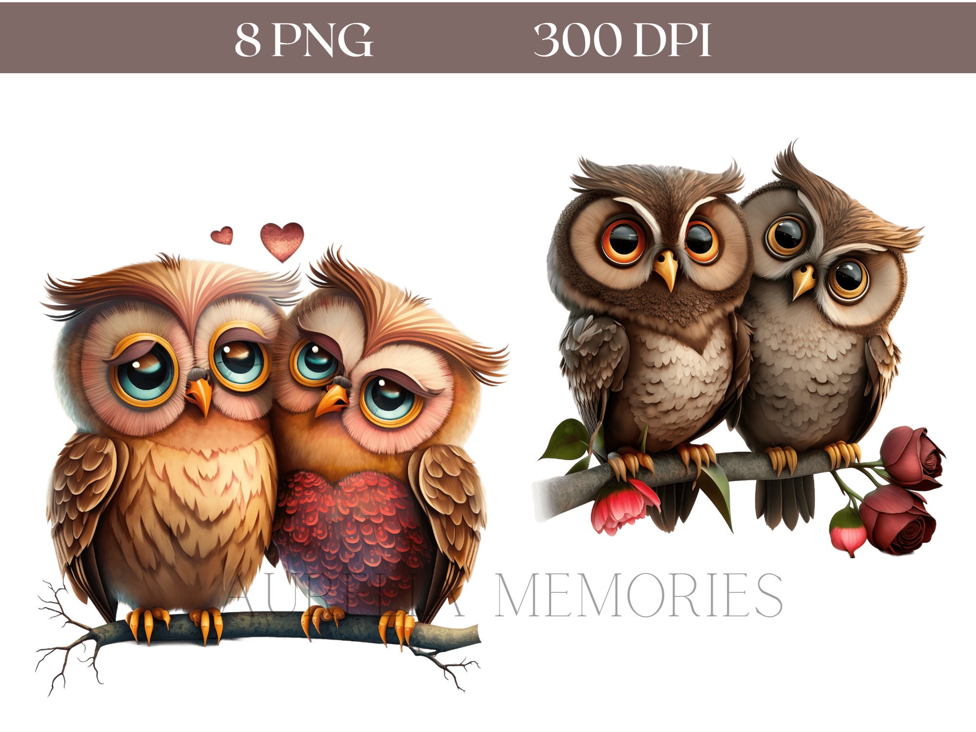 Cute Owls Clipart 8 High Quality PNG Files Loving Owls Cute Animals ...