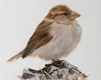 House Sparrow Original Bird Oil Painting A5 - Etsy
