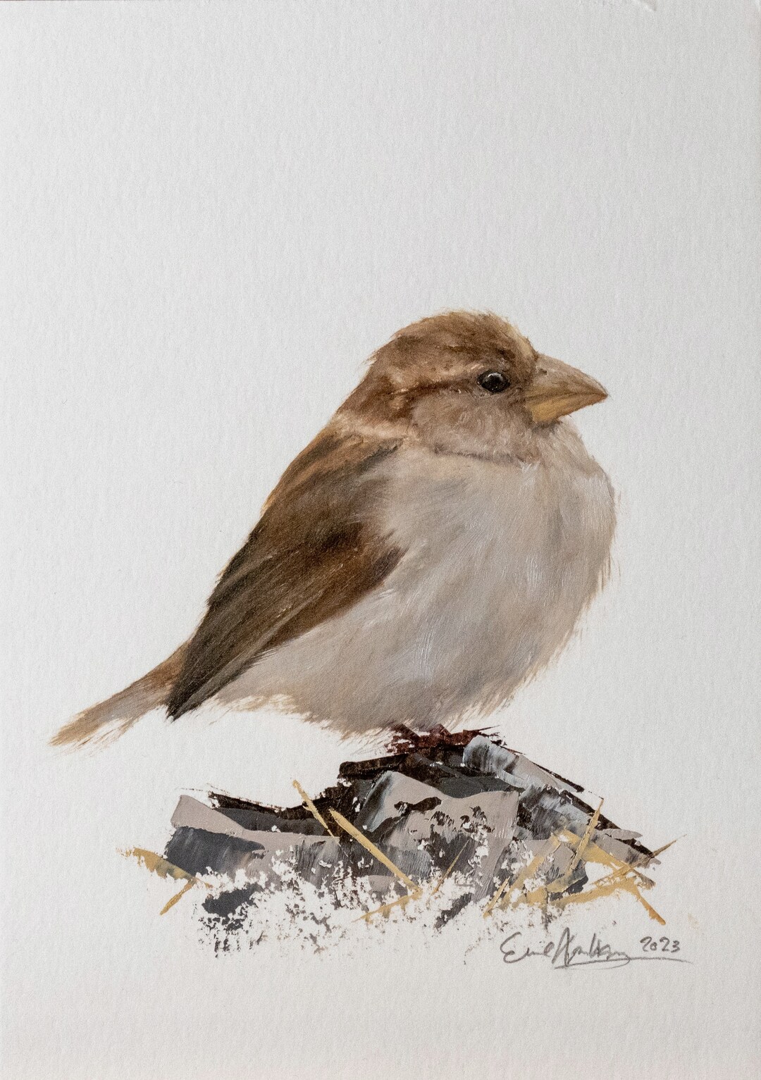 House Sparrow Original Bird Oil Painting A5 - Etsy