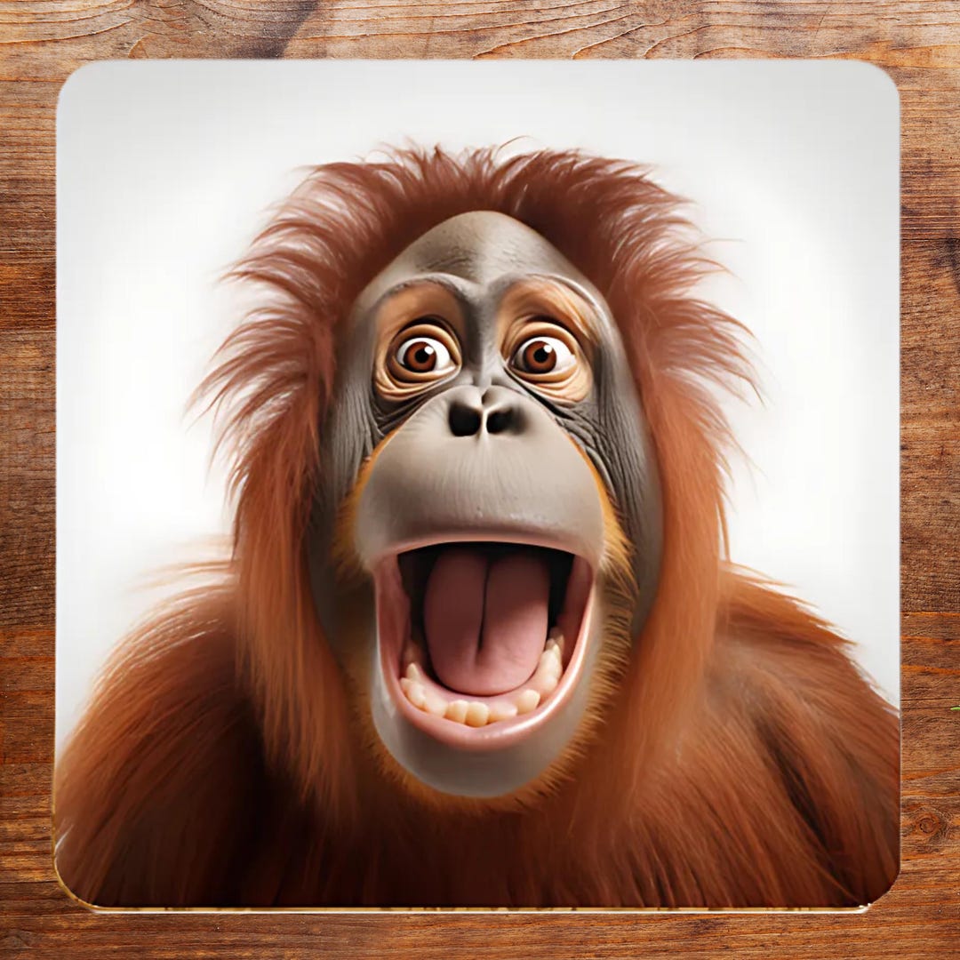 Coaster Set 4 Fun Monkey Designs Digitally Printed on Cork Drink ...