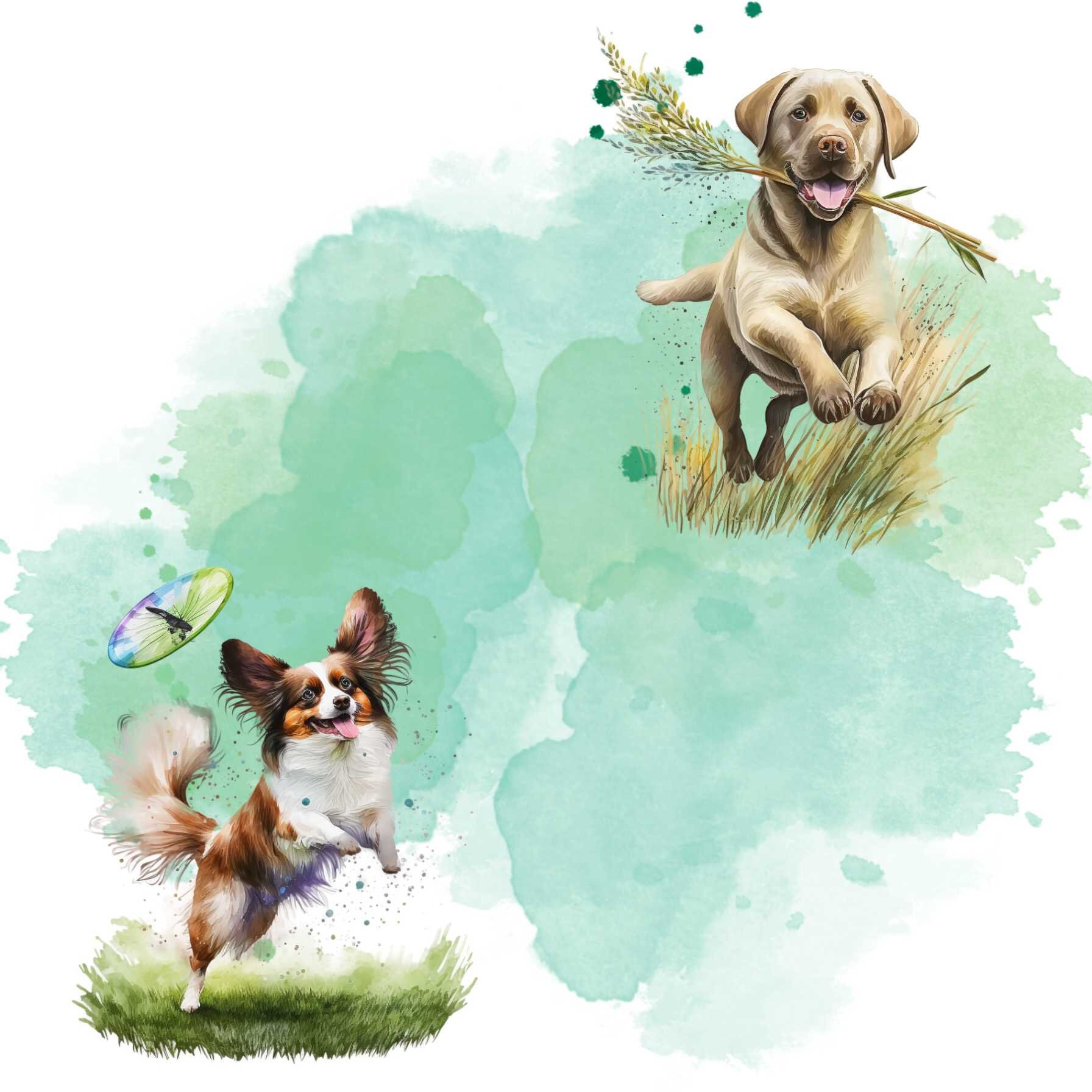 Beautiful Dogs Breeds Watercolor Clipart, 12 PNG Bundle, Labrador ...