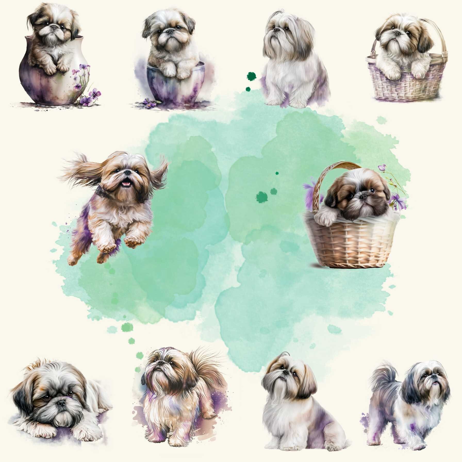 Dogs Breeds Watercolor Clipart 30 PNG Bundle Labrador - Etsy