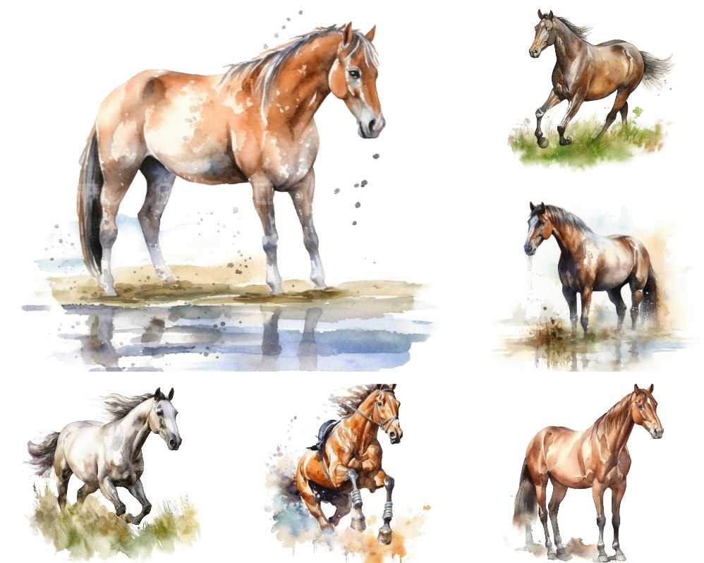 Set of 14 PNG, Horses Clip Art Bundle, Watercolor Horse Clipart ...