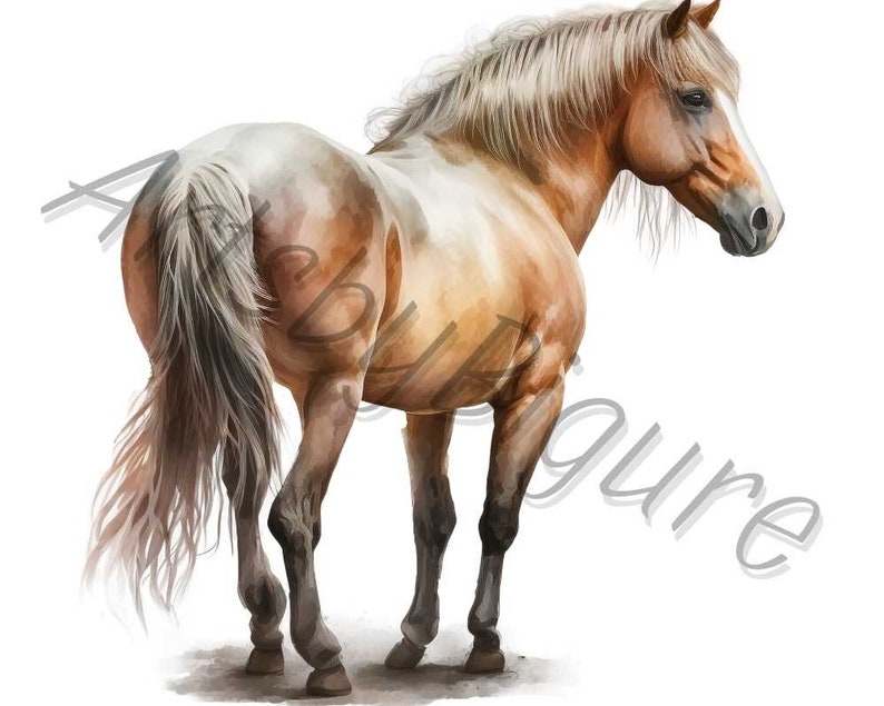 Horses Clipart Bundle Watercolor Horse Clipart Digital Art - Etsy