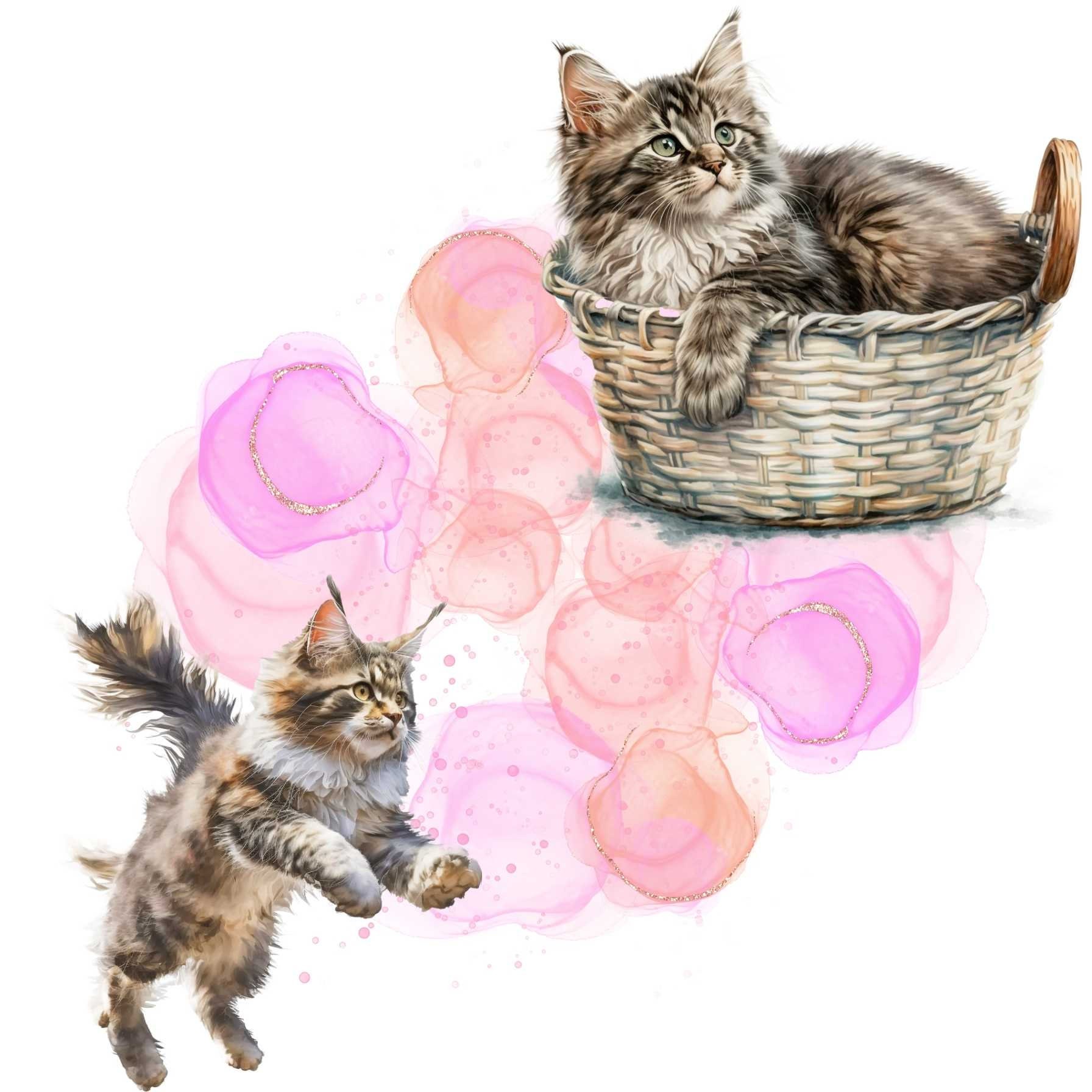 Beautiful Cat Breed Watercolor Clipart, 36 PNG Bundle, Ragdoll Cat ...