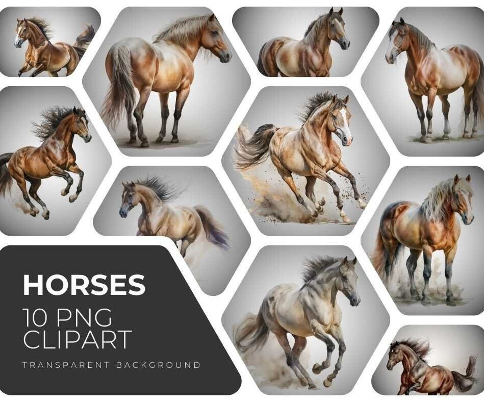 Horses Clipart Bundle, Watercolor Horse Clipart, Digital Art, Clipart ...