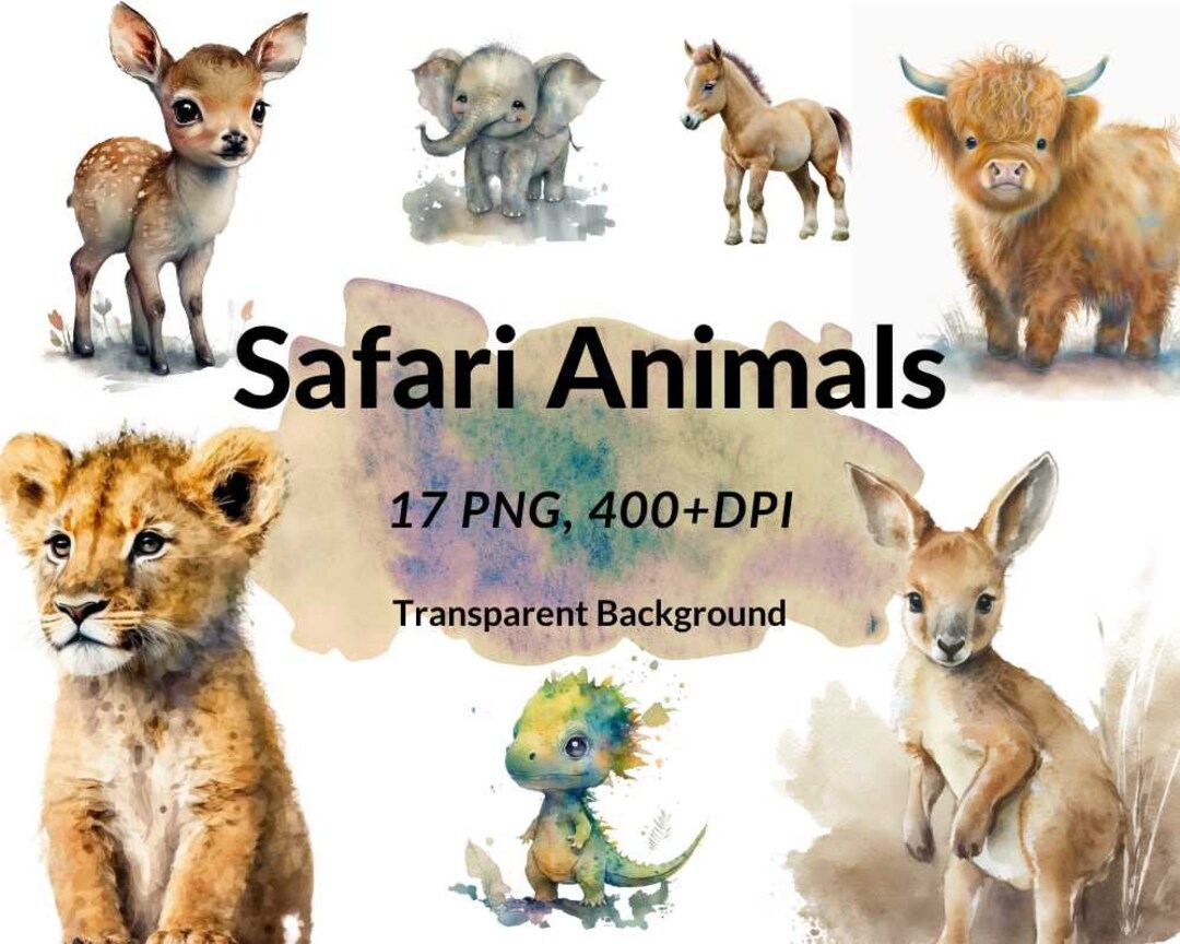 Set of 17 PNG Safari Animals Watercolor Clip Art, Card Making, Clip Art ...