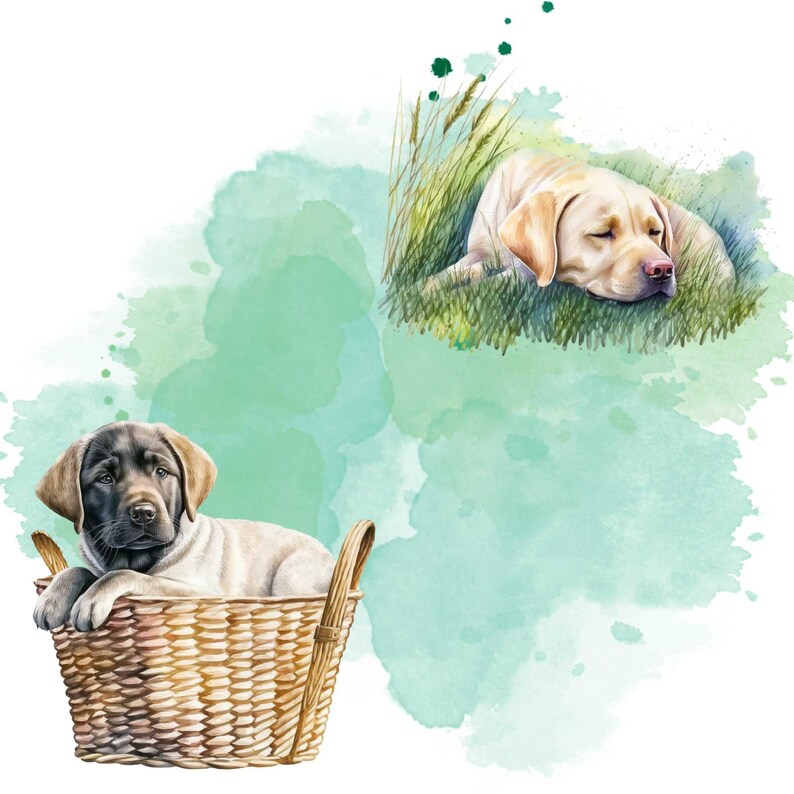 Beautiful Dogs Breeds Watercolor Clipart, 12 PNG Bundle, Labrador ...