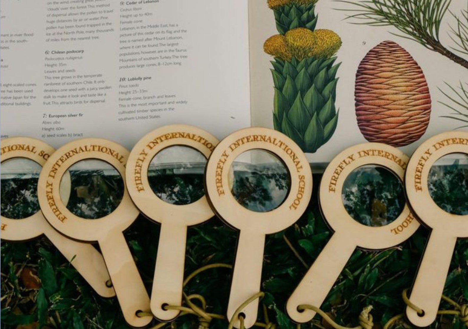 Wooden Magnifying Glass Personal Magnifying Glass by Little Wooden ...