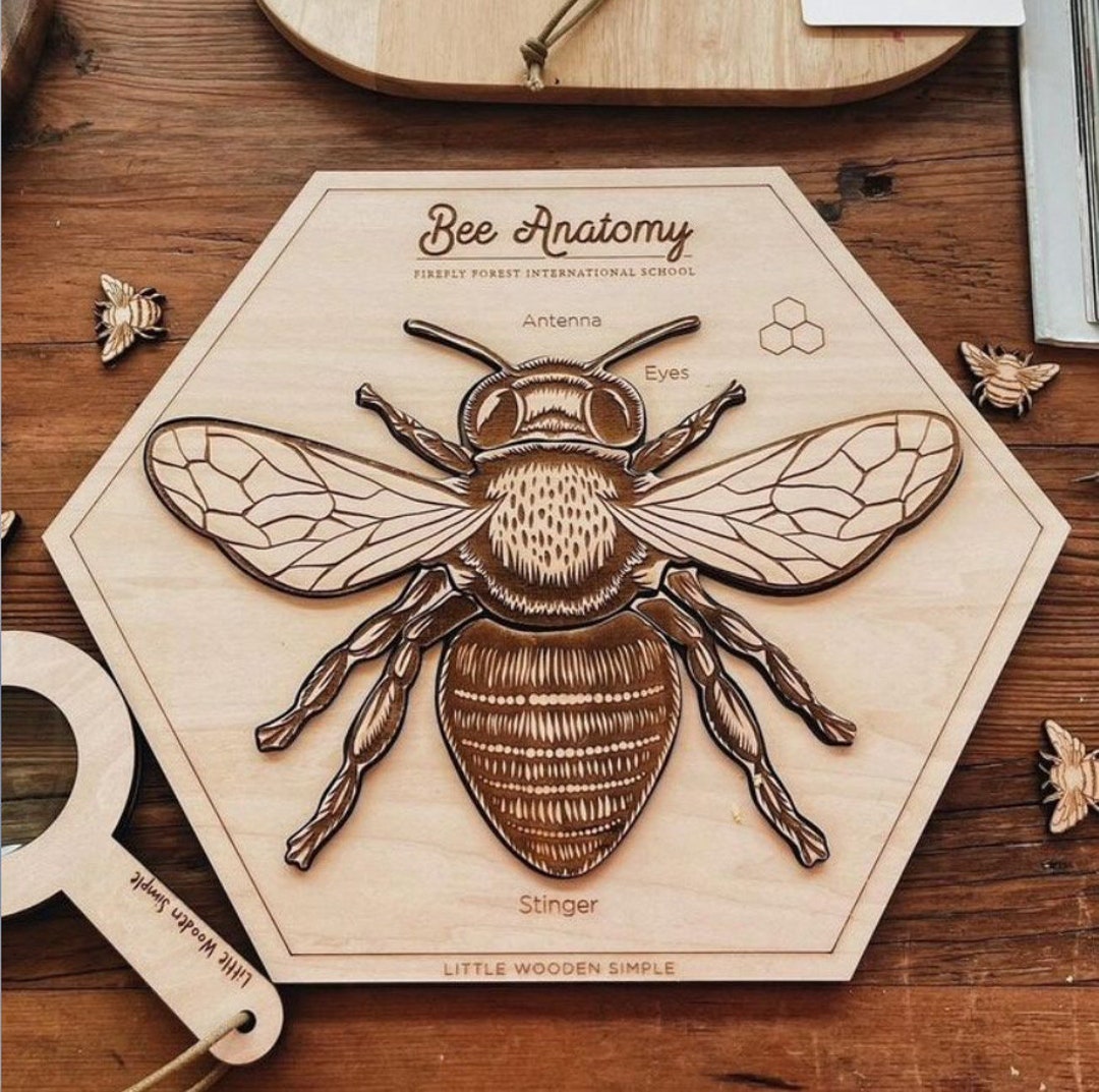 Bee Anatomy Wooden Puzzle by Little Wooden Simple Th - Etsy