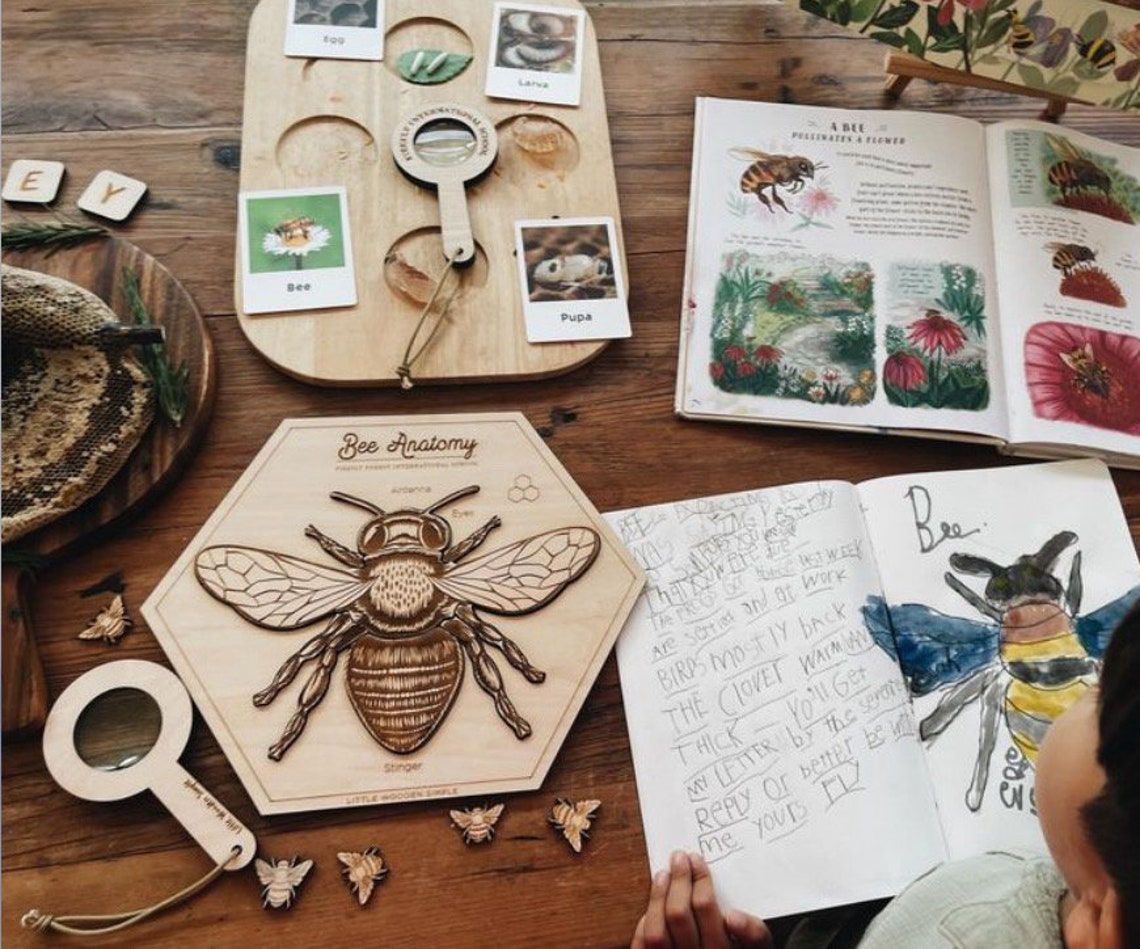 Bee Anatomy Wooden Puzzle by Little Wooden Simple Th - Etsy