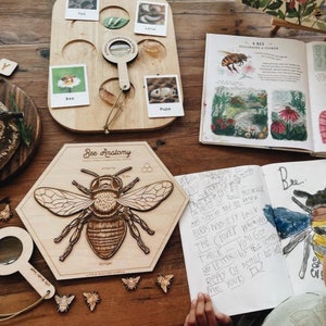 Bee Anatomy Wooden Puzzle by Little Wooden Simple Th - Etsy