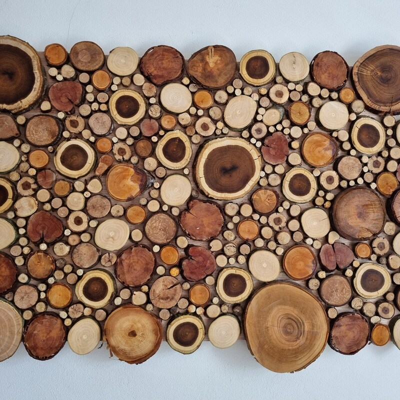 Log Slices - Etsy