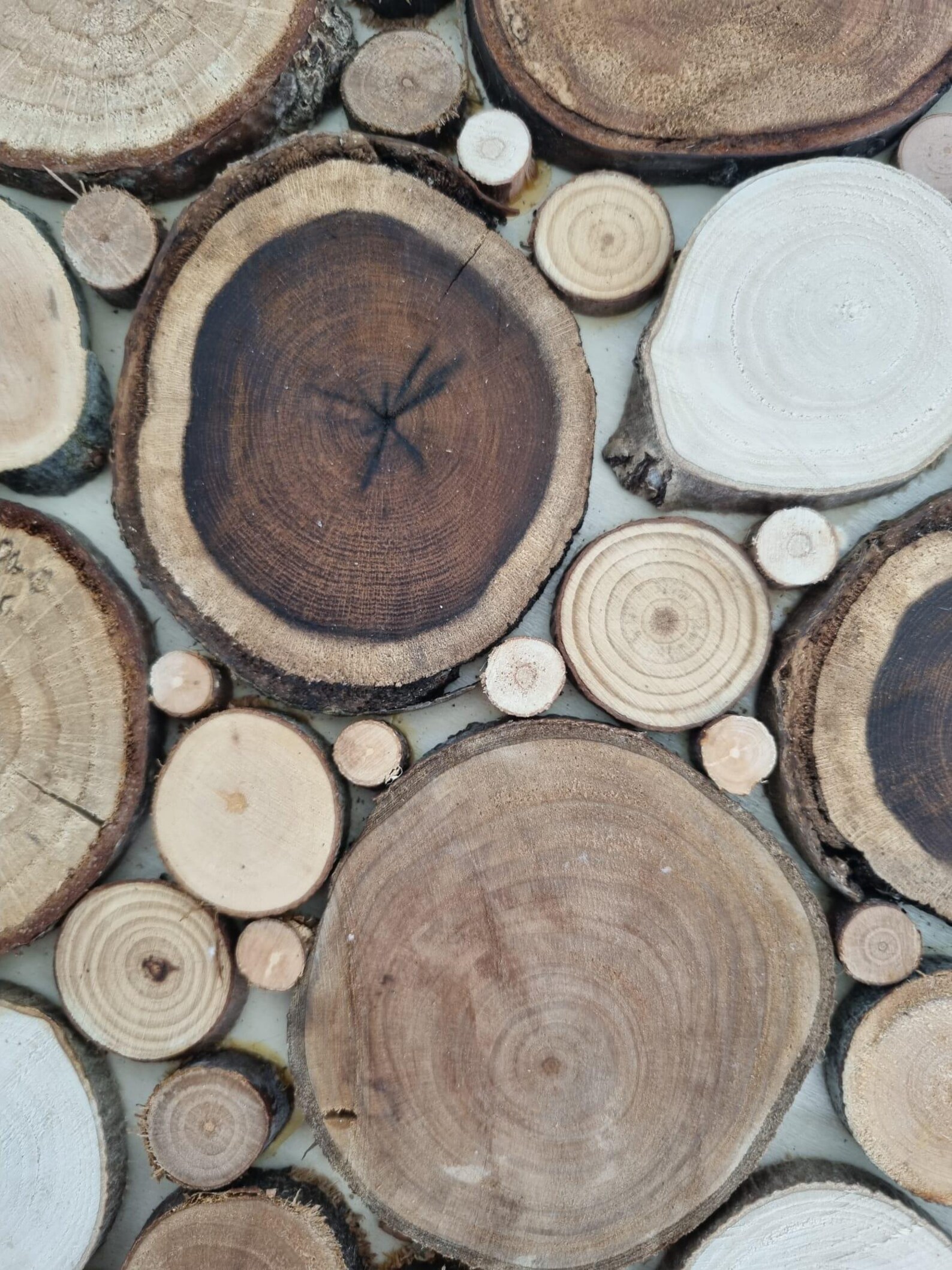 Round Wood Wall Art - Wood Wall Decor - Tree Ring Wall Art - Wood Art ...