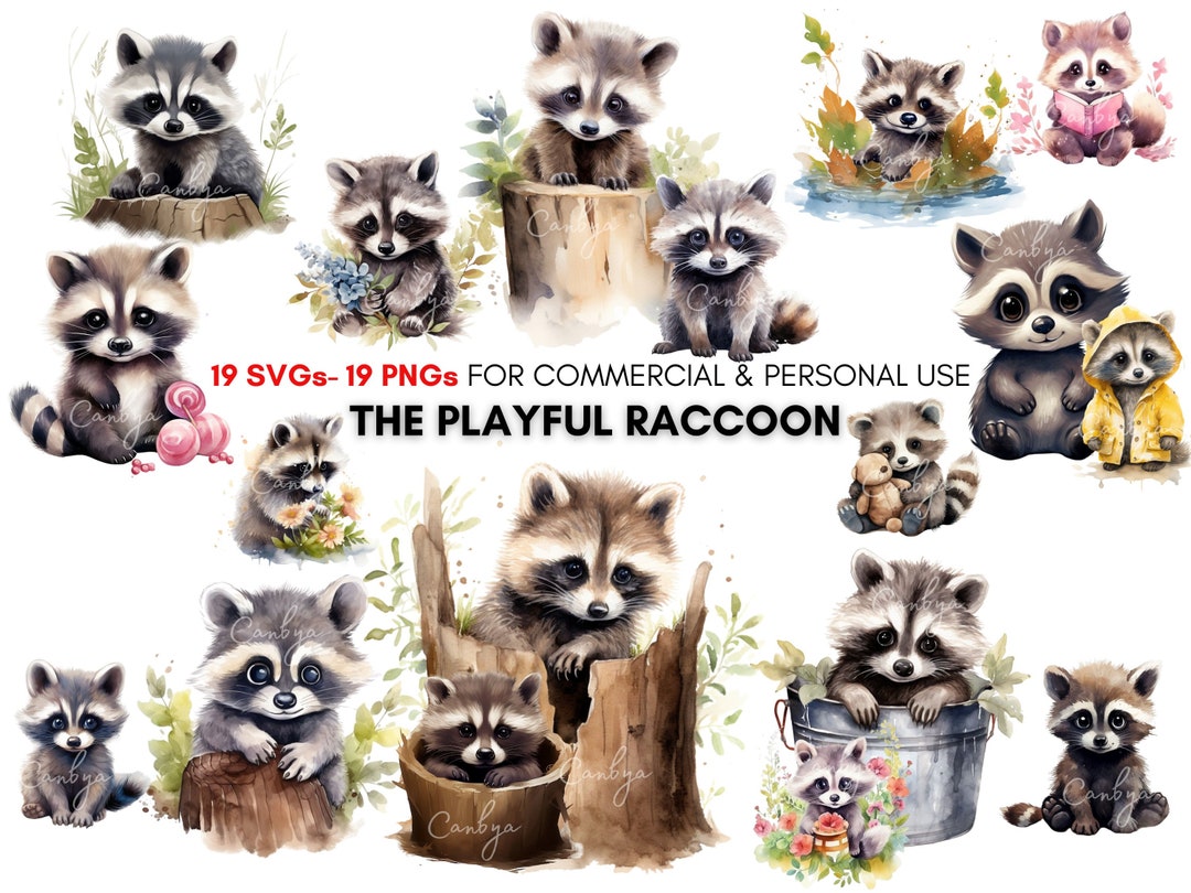 Watercolor Cute Baby Raccoon Png Svg Clipart Bundle, Nursery Clipart ...