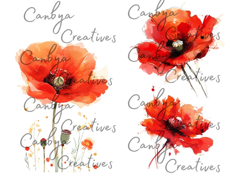 Watercolor Poppies Svg Png Clipart Bundle, Abstract Poppy Flower ...