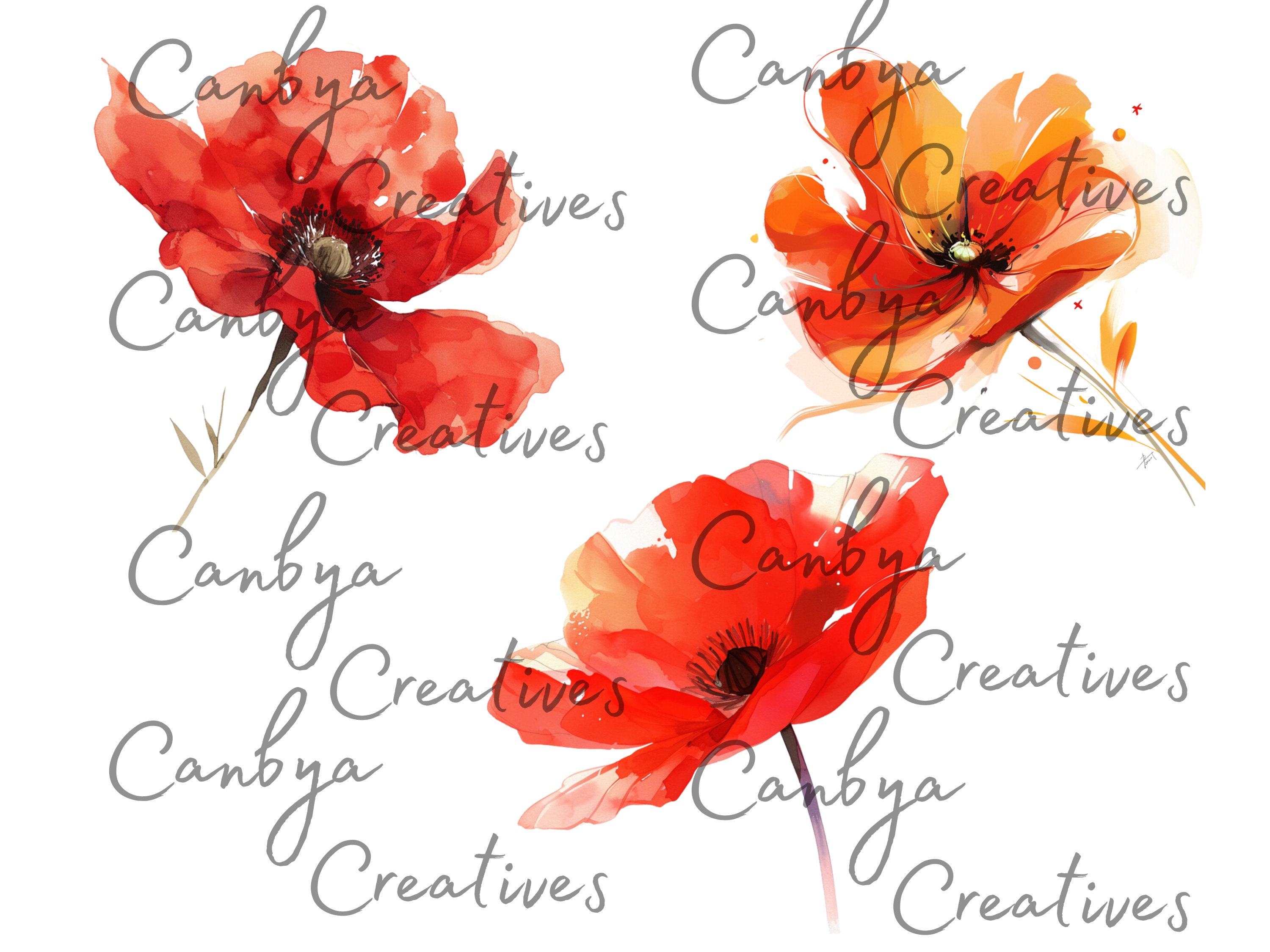 Watercolor Poppies Svg Png Clipart Bundle, Abstract Poppy Flower ...