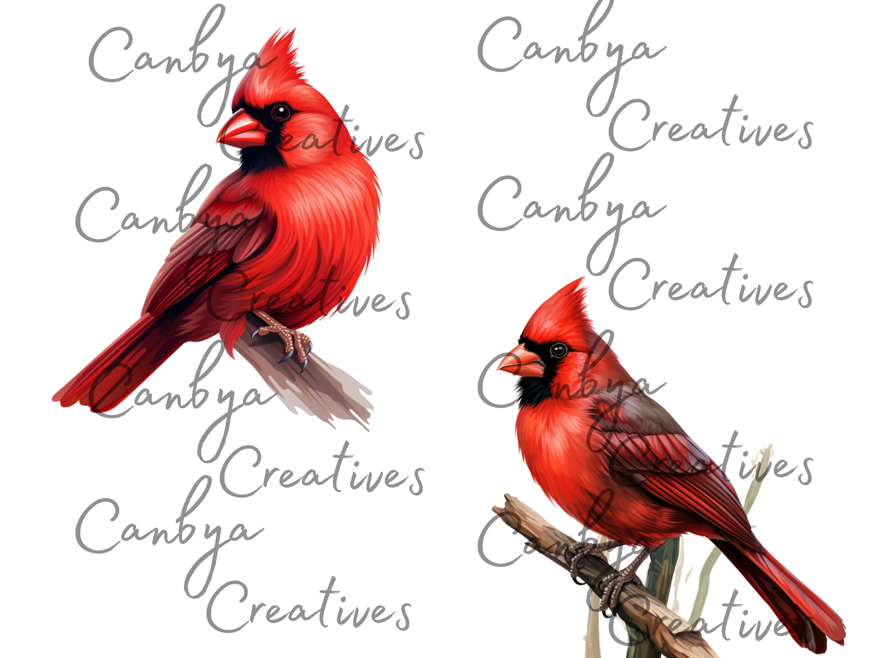 Watercolor Red Cardinal Bird Svg Png Clipart Bundle, Winter Printable ...