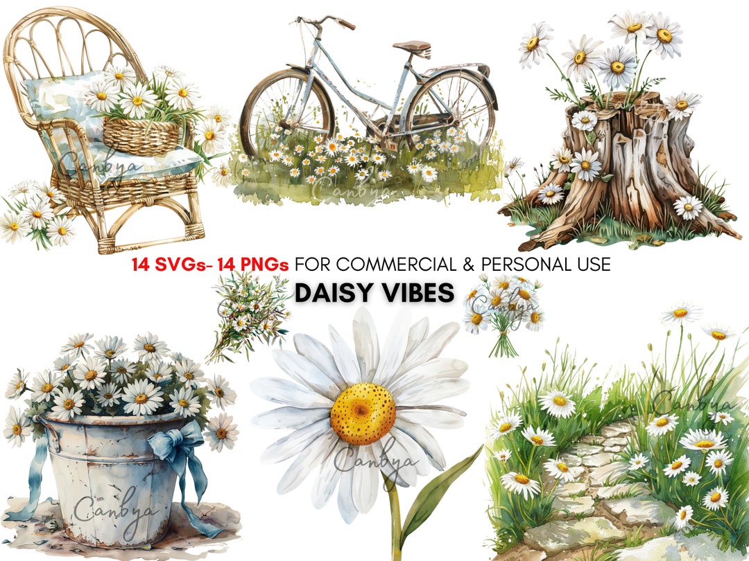 Watercolor Daisy Png Svg Clipart Bundle, Spring Clipart, Floral Clip ...