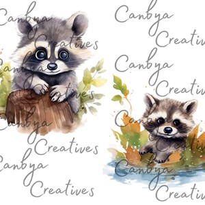 Watercolor Cute Baby Raccoon Png Svg Clipart Bundle, Nursery Clipart ...