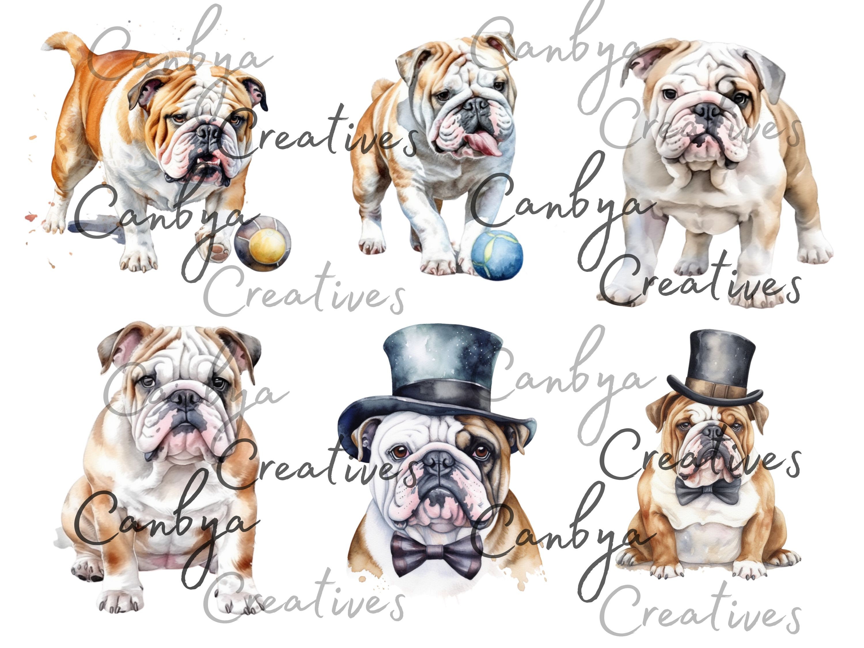 Bulldog Art, 20 English Bulldog Png 's, 20 English Bulldog Svg 's ...