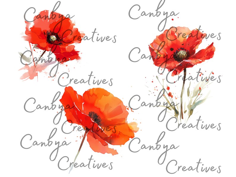 Watercolor Poppies Svg Png Clipart Bundle, Abstract Poppy Flower ...