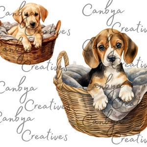 Watercolor Cute Puppy in Cozy Basket Png Svg Clipart Bundle, Cute Dog ...