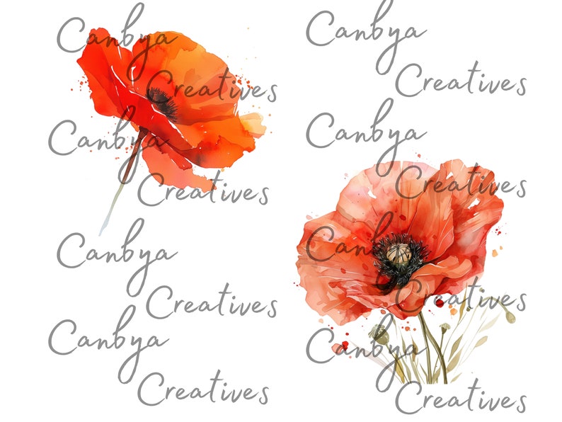 Watercolor Poppies Svg Png Clipart Bundle, Abstract Poppy Flower ...