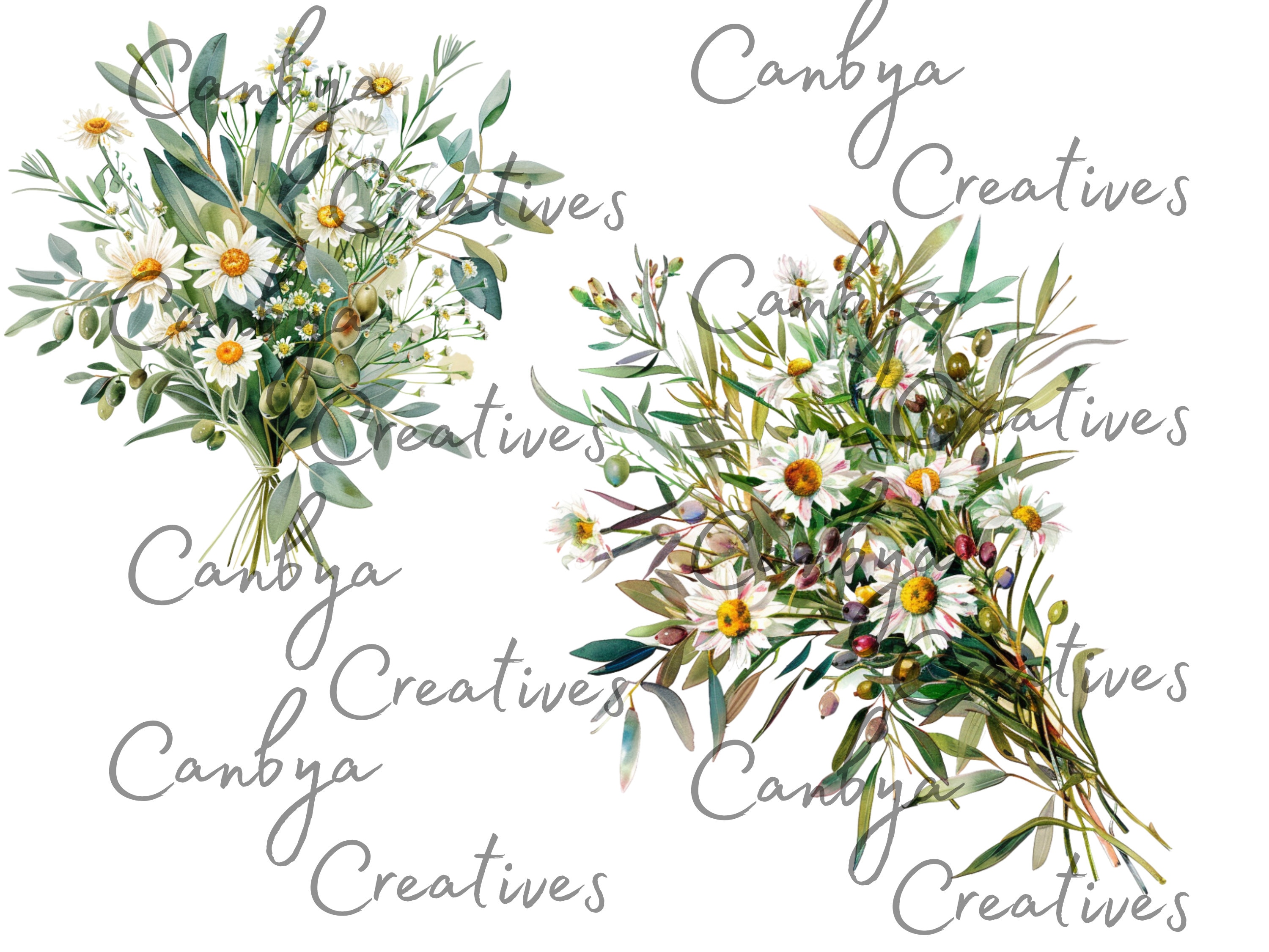 Watercolor Daisy Png Svg Clipart Bundle, Spring Clipart, Floral Clip ...