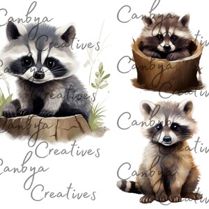 Watercolor Cute Baby Raccoon Png Svg Clipart Bundle, Nursery Clipart ...