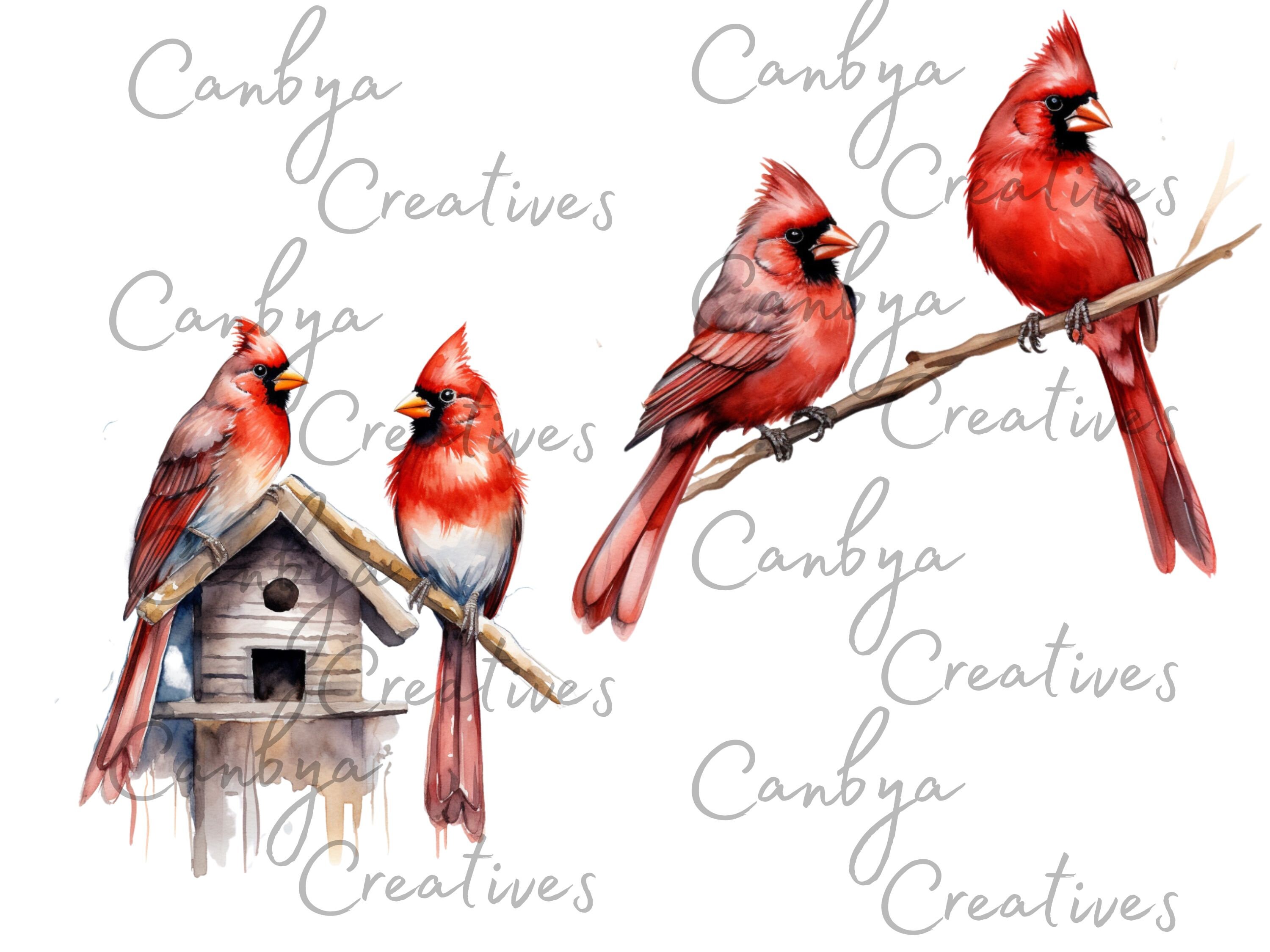Watercolor Christmas Red Cardinal Couple in Love SVG PNG Clipart Bundle ...