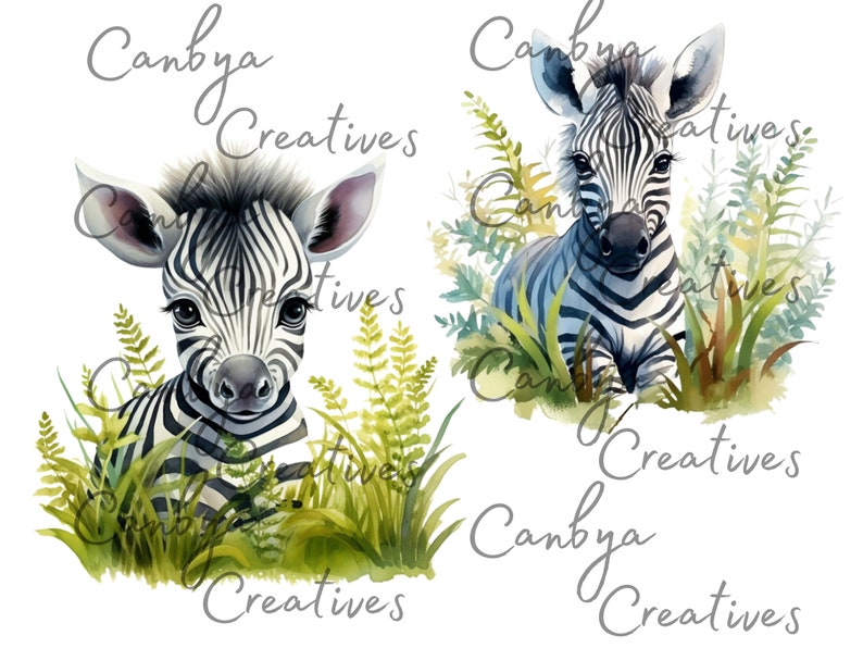 Watercolor Baby Zebra Png Svg Cliparts, Cute Safari Animals ...