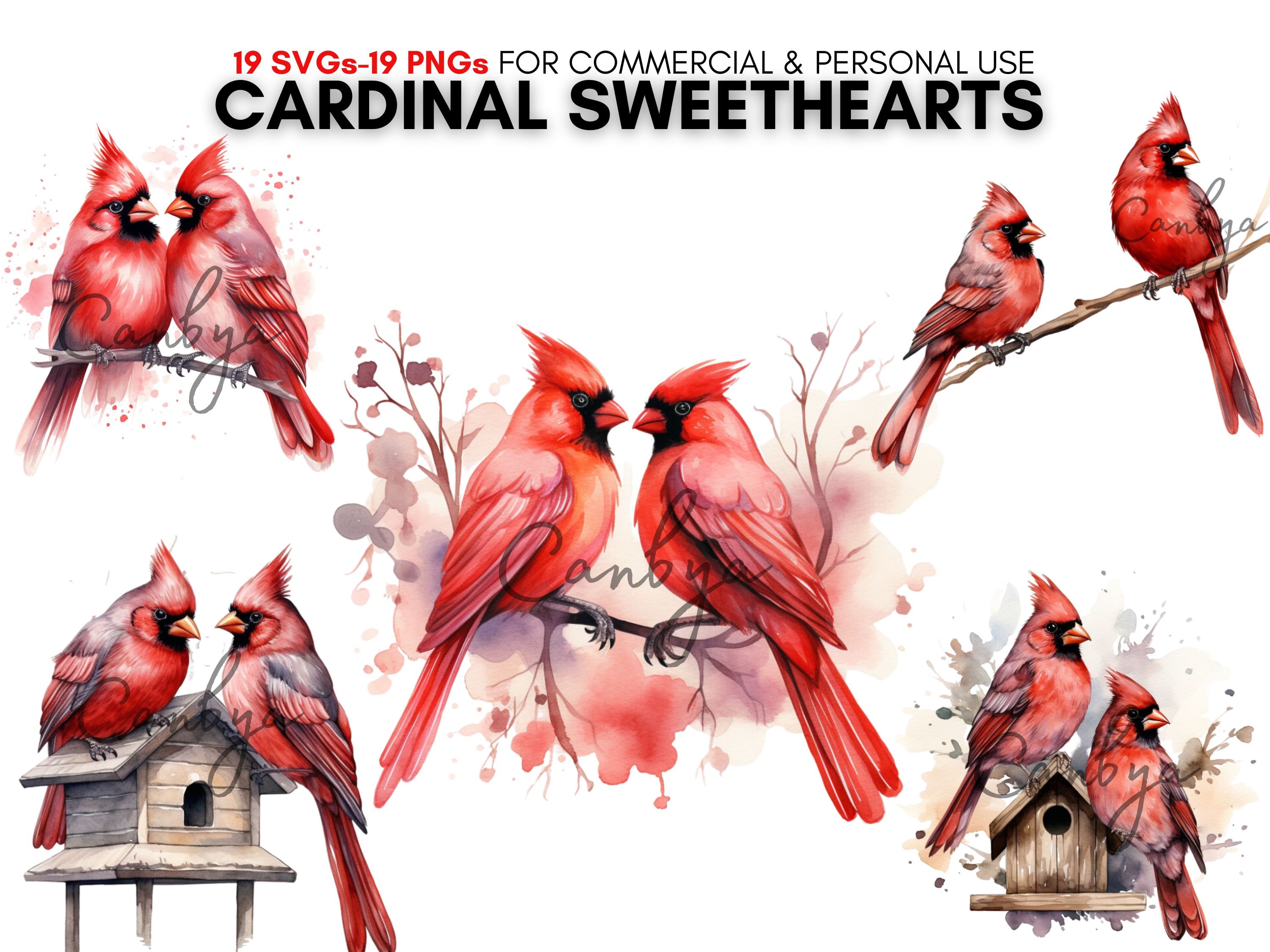 Watercolor Christmas Red Cardinal Couple in Love SVG PNG Clipart Bundle ...