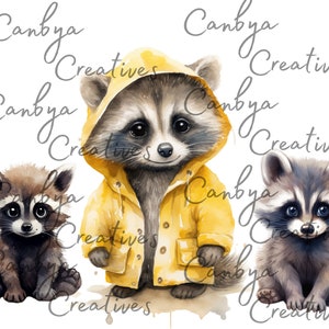 Watercolor Cute Baby Raccoon Png Svg Clipart Bundle, Nursery Clipart ...