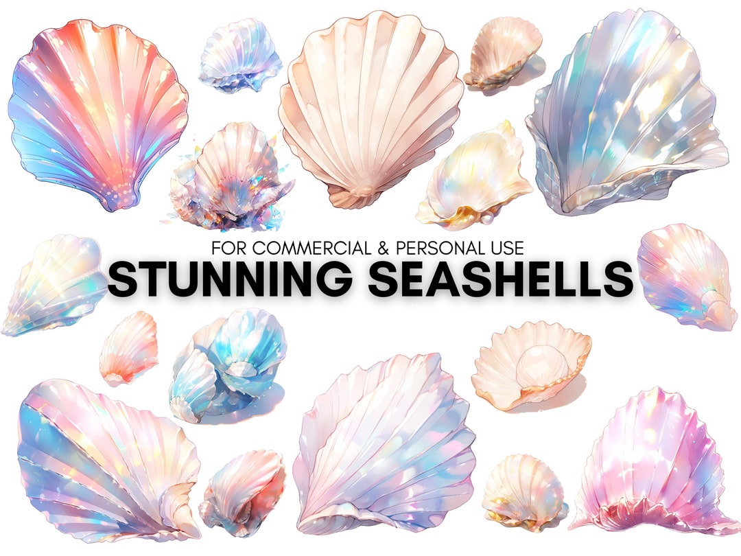 Stunning Seashell, Colorful Seashell, Clipart Watercolor for Commercial ...