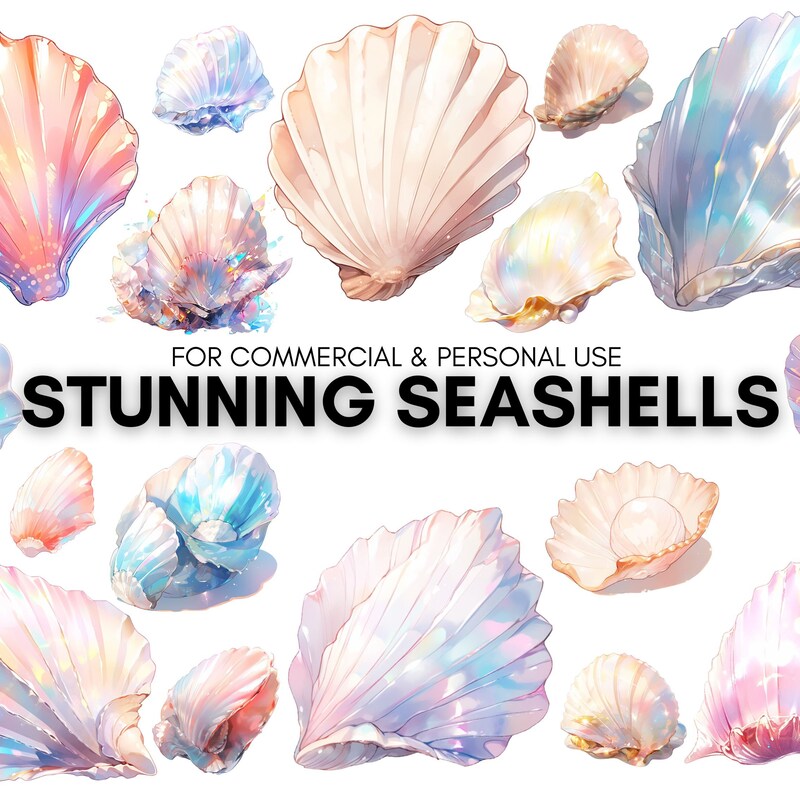 Seashell Watercolor - Etsy