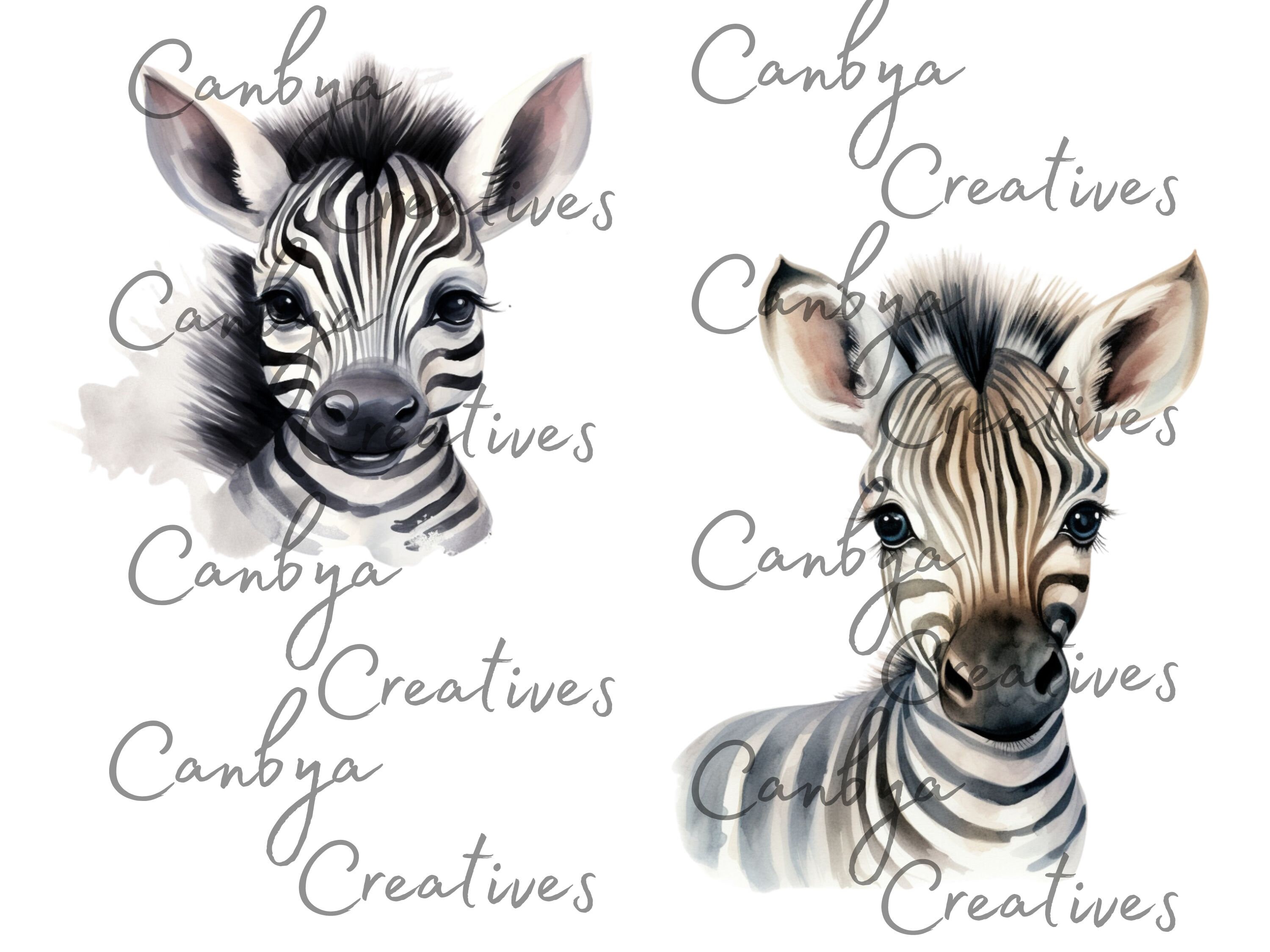 Watercolor Baby Zebra Png Svg Cliparts, Cute Safari Animals ...
