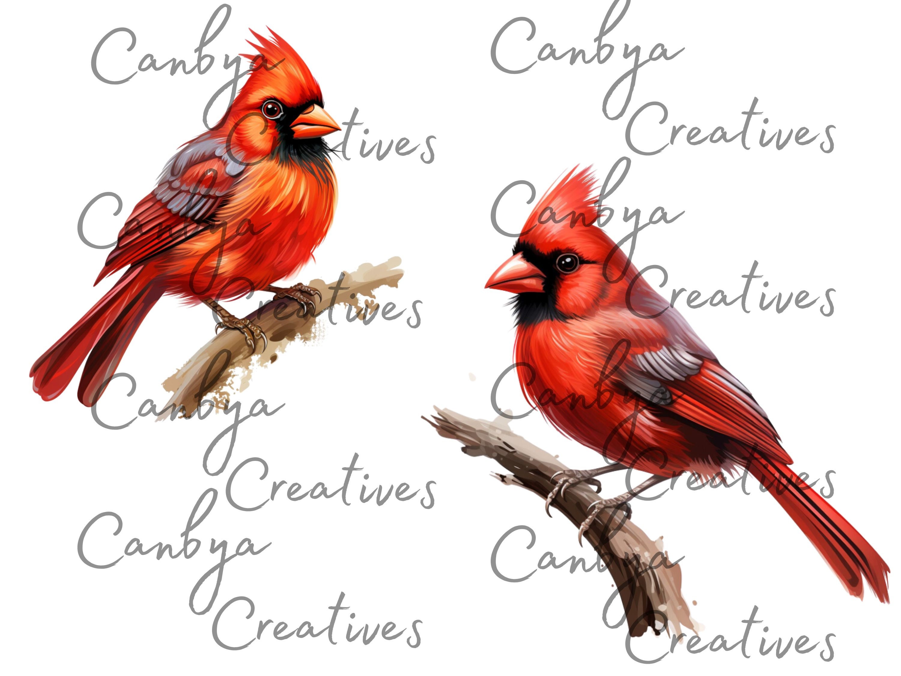 Watercolor Red Cardinal Bird Svg Png Clipart Bundle, Winter Printable ...
