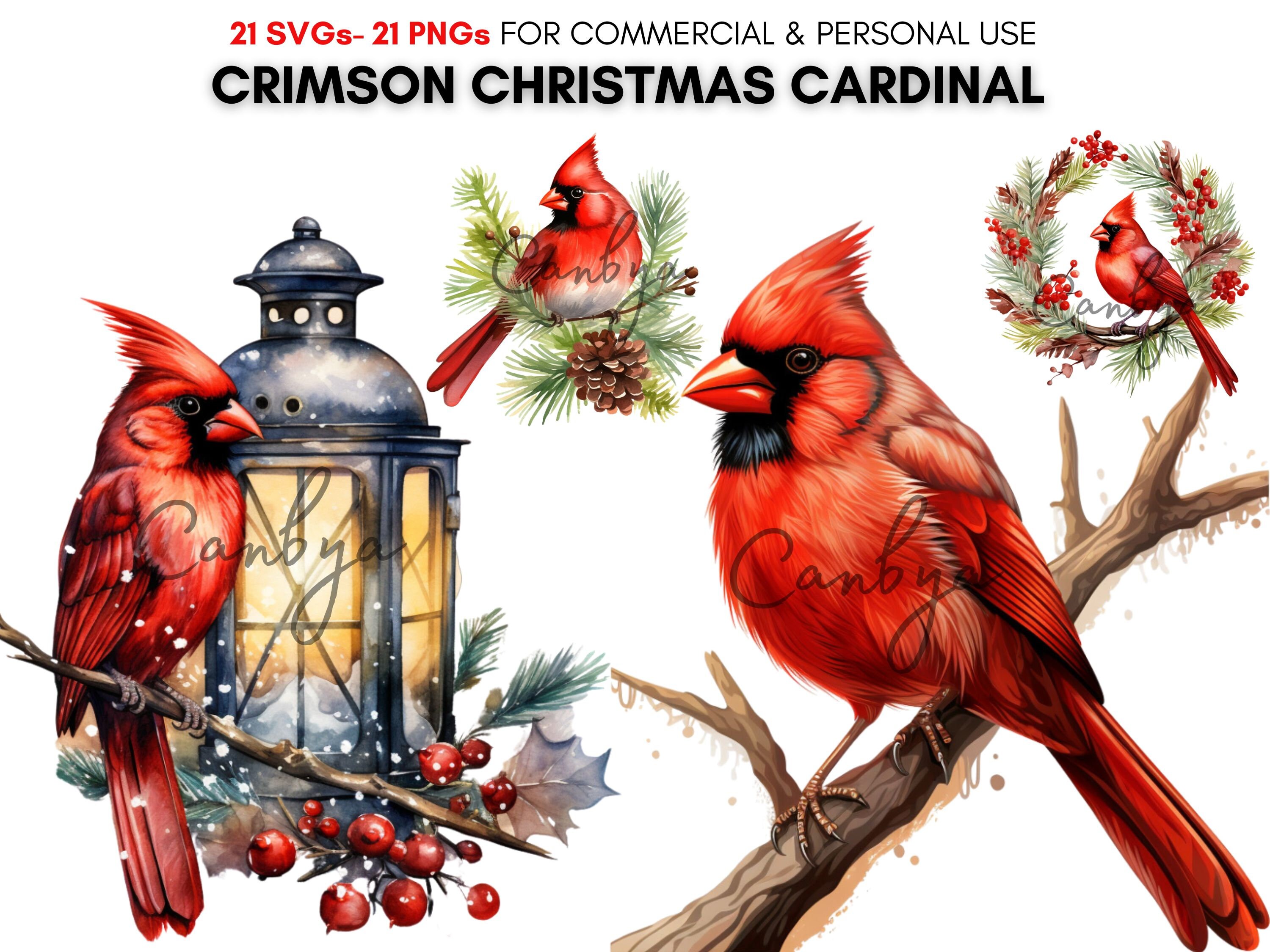 Watercolor Red Cardinal Bird Svg Png Clipart Bundle, Winter Printable ...