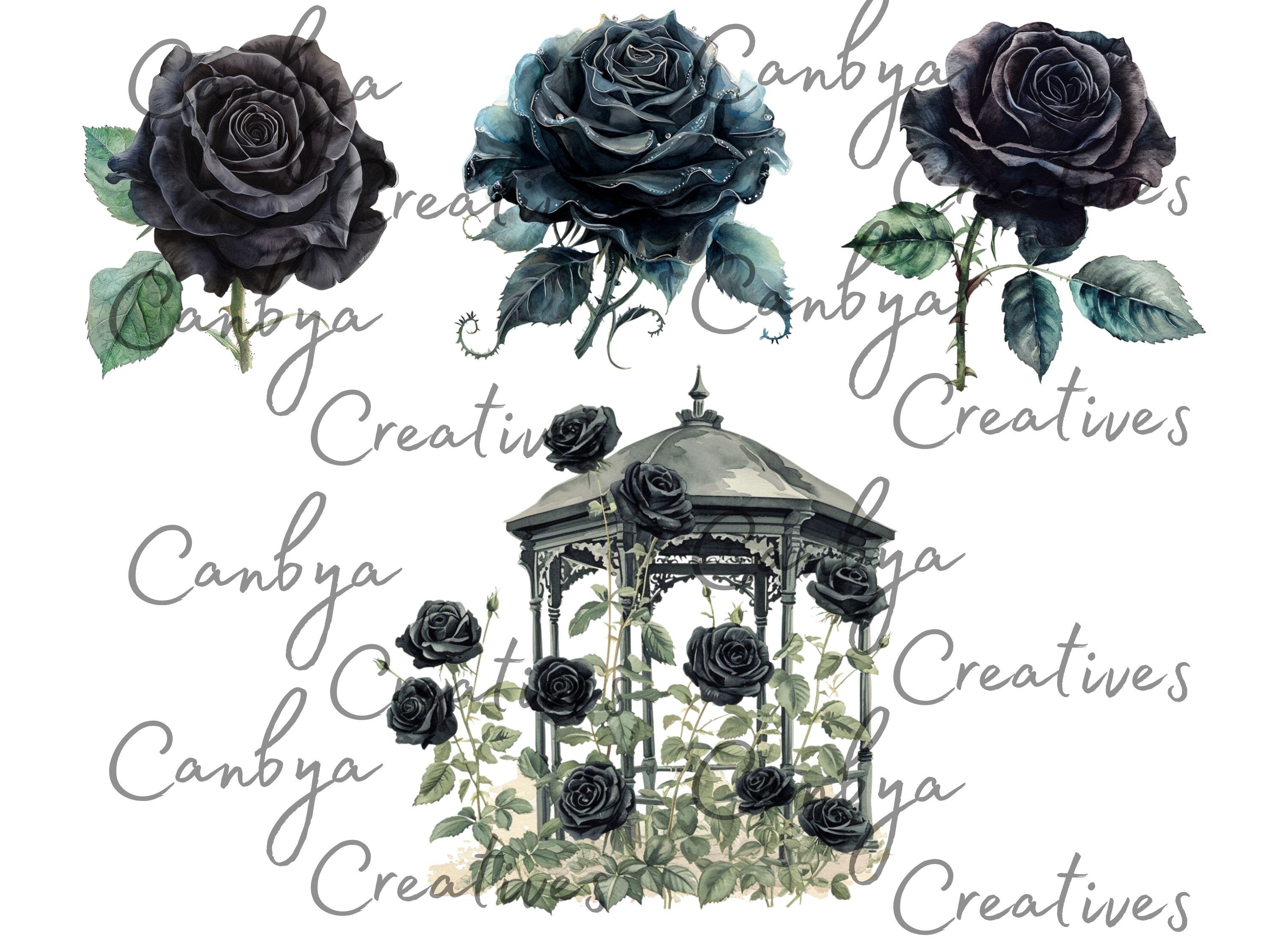 Watercolor dark black roses png svg Cliparts, vintage gothic roses in ...