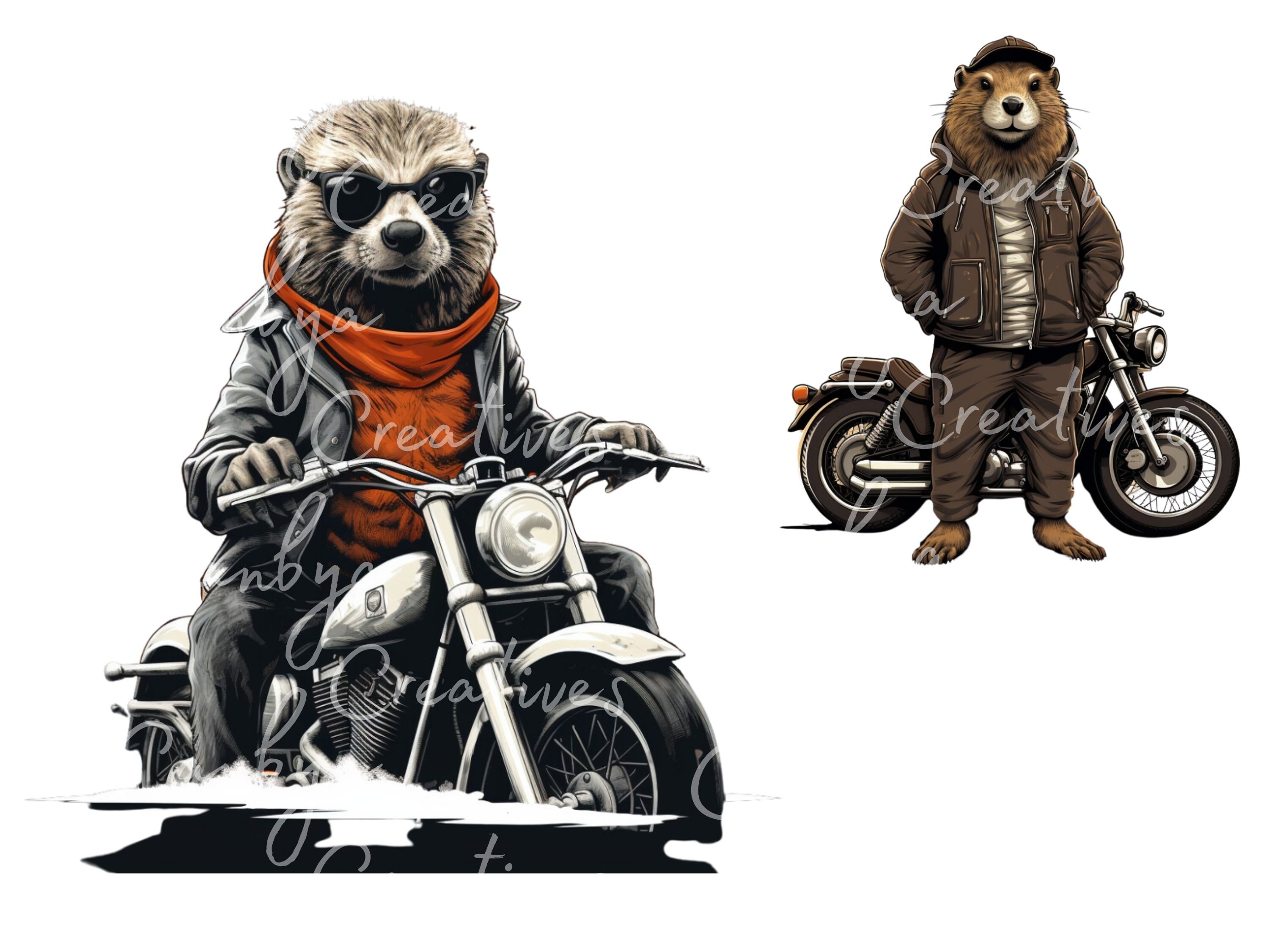 Watercolor Groundhog Day Png Svg Clipart Bundle, Energetic Groundhog ...