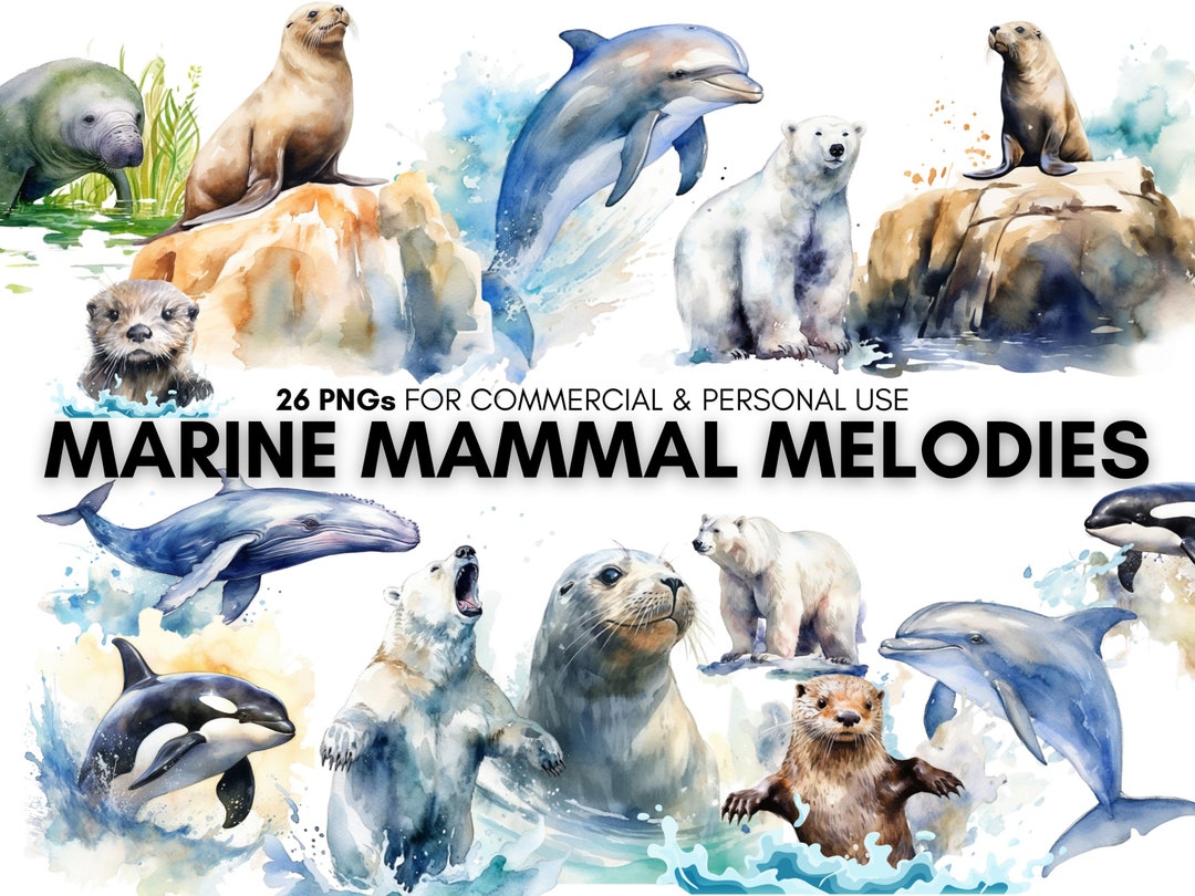 Watercolor Sea Animals, Marine Mammal Melodies: Ocean Wonders ...