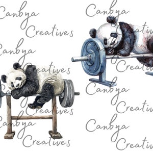 Watercolor Kawaii Panda Png Svg Prints, Funny & Lazy Panda Clipart ...