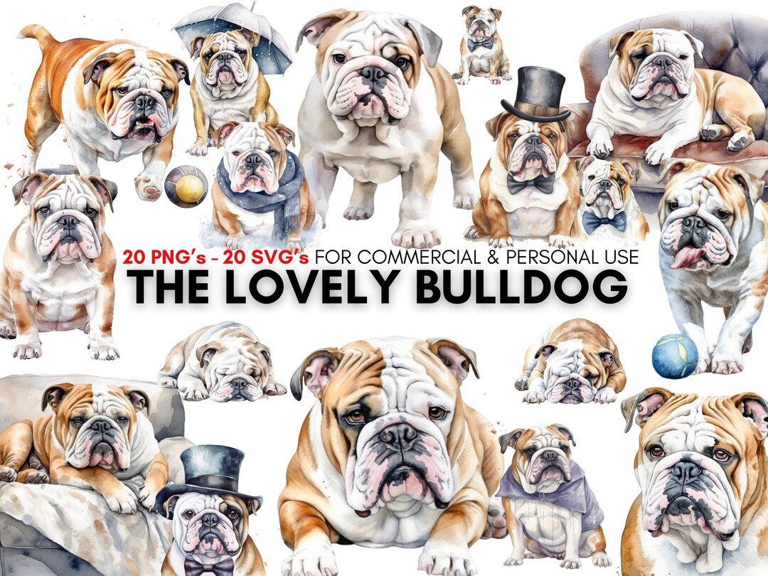 Bulldog Art, 20 English Bulldog Png 's, 20 English Bulldog Svg 's ...