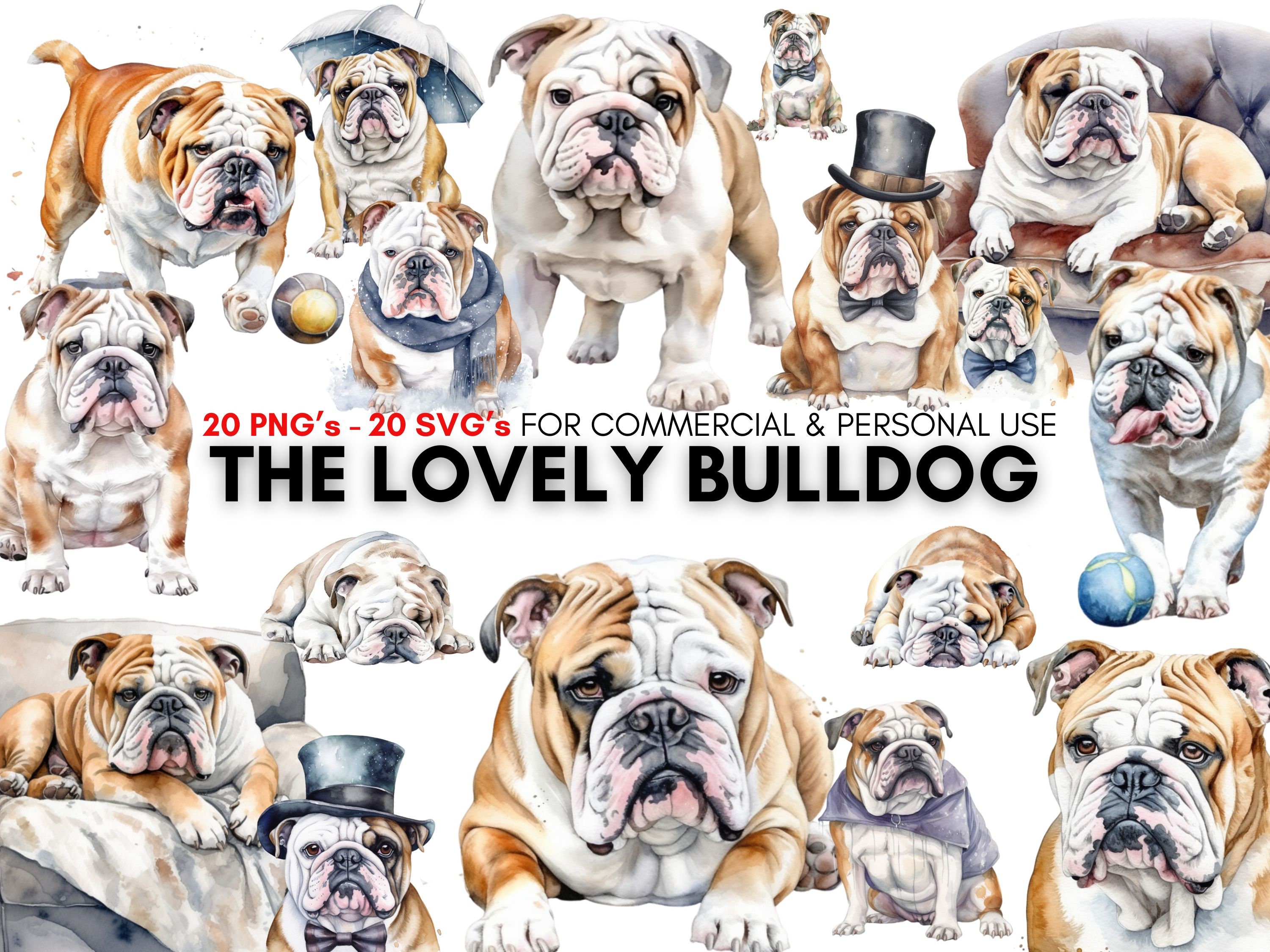 Bulldog Art, 20 English Bulldog Png 's, 20 English Bulldog Svg 's ...