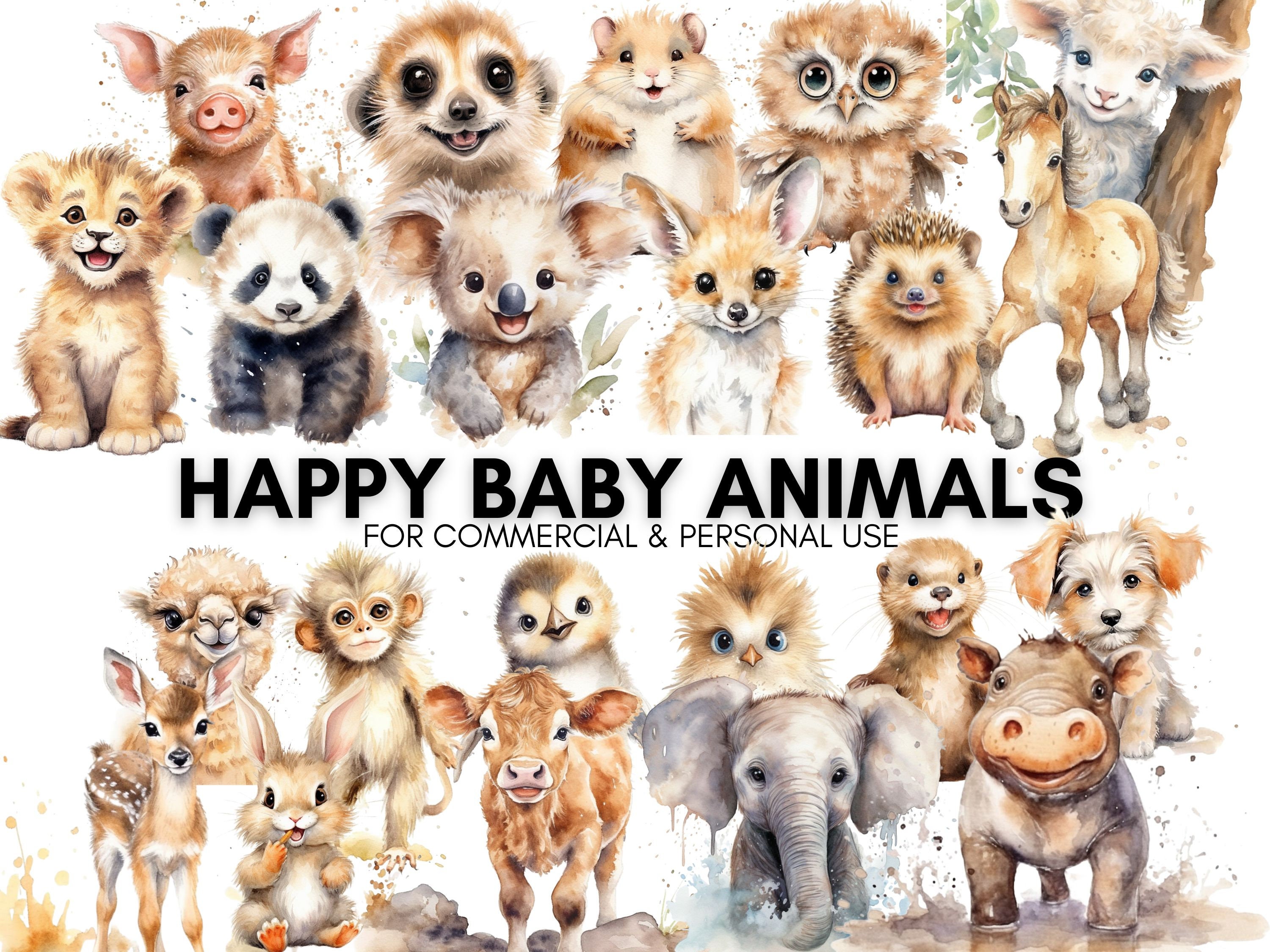 Excited Baby Animals