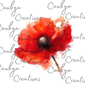Watercolor Poppies Svg Png Clipart Bundle, Abstract Poppy Flower ...